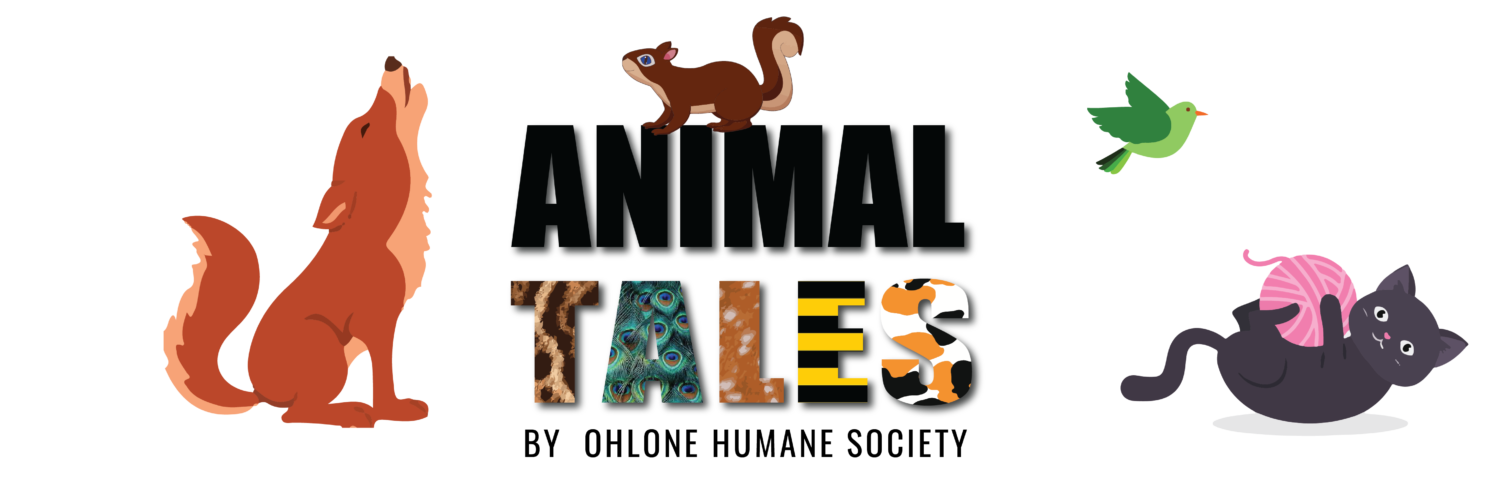 Humane Education – Ohlone Humane Society